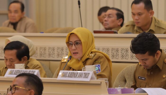 Hellyana Paparkan Kondisi Terkini Bangka Belitung, Tegaskan Pentingnya ...